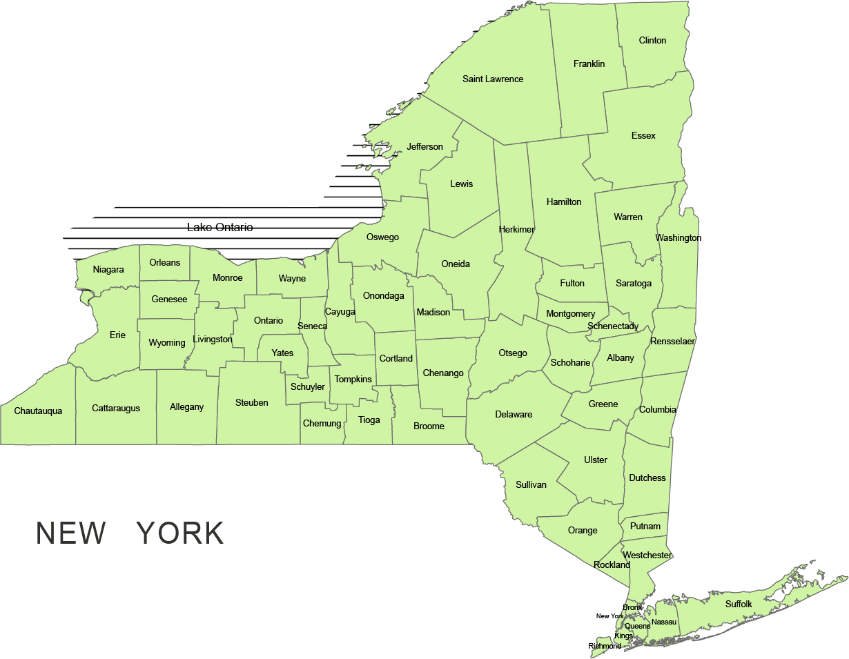 New York Vector County Map - your-vector-maps.com
